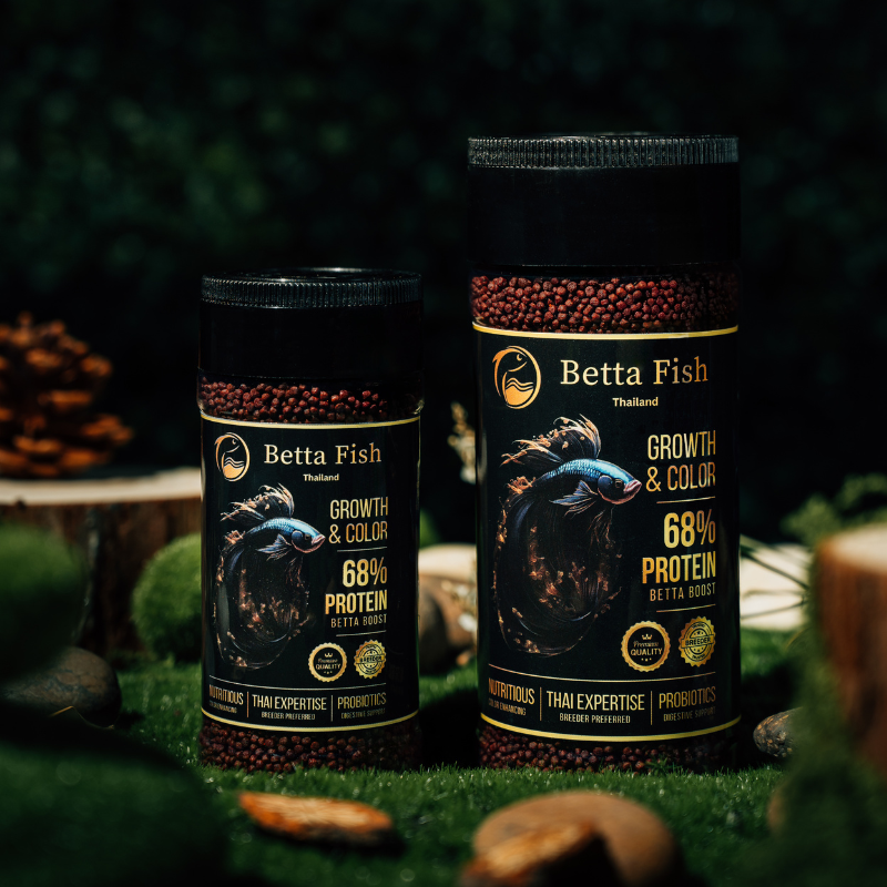 icon-search Close (esc)